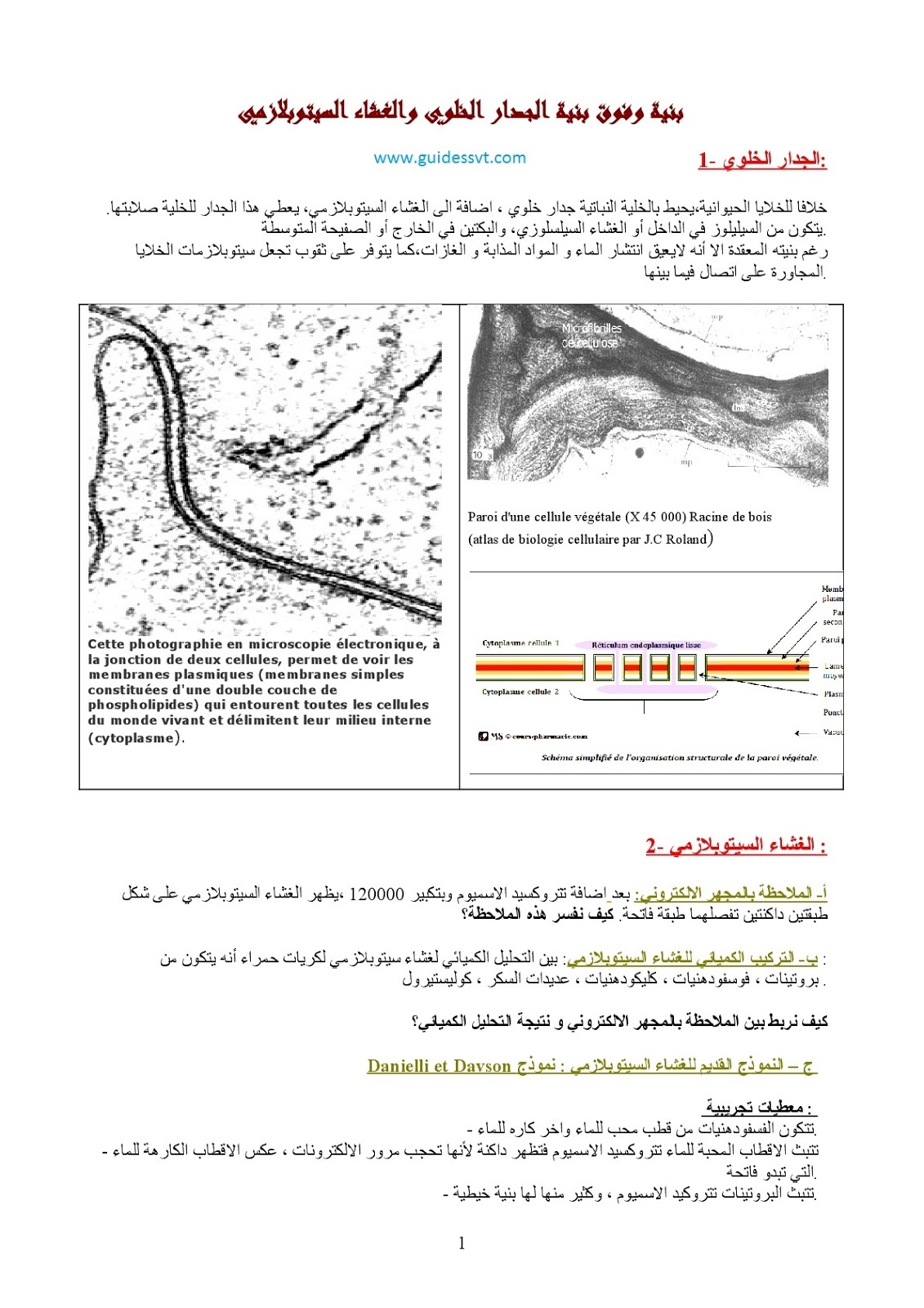 freesvt : Structure de la membrane cytoplasmique