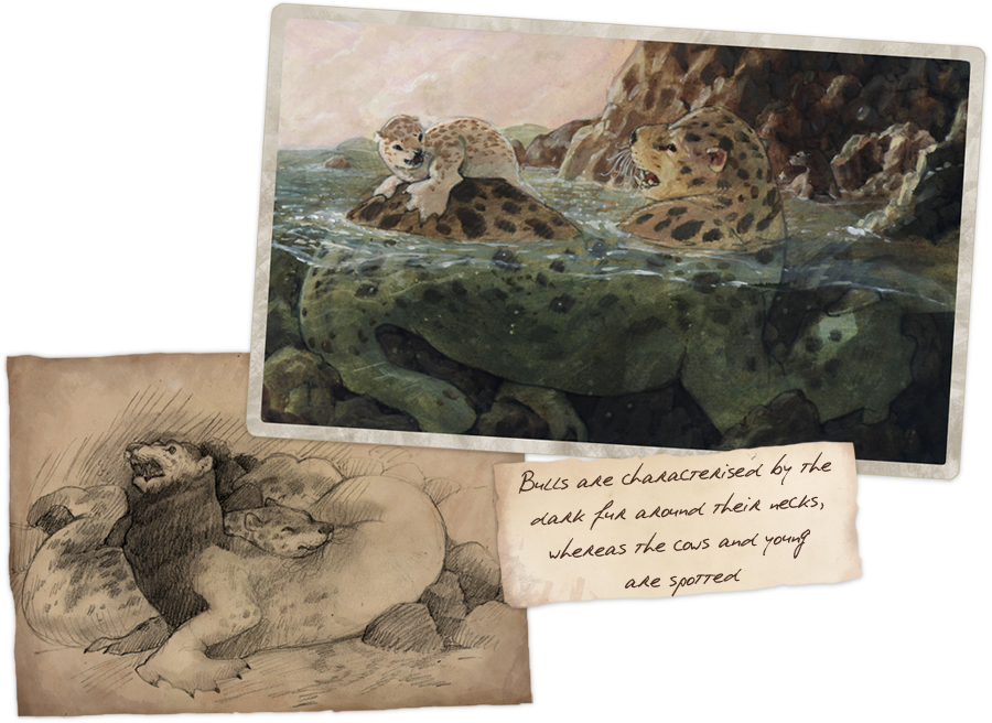 Better Beastiary: The Ketea Indikoi