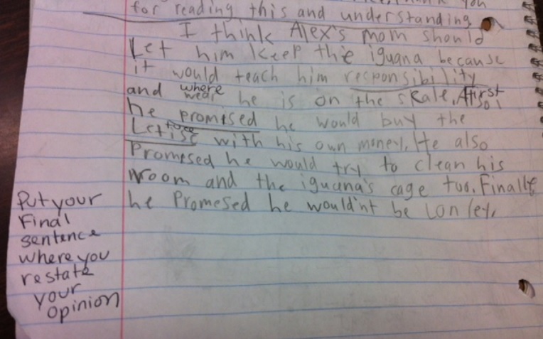 An Apple For The Teacher: I Wanna Iguana - Lessons in Opinion ...