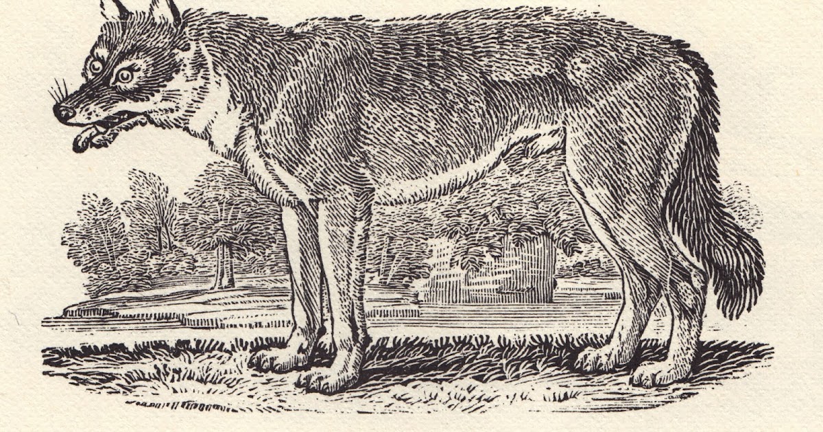 ICH Blog: Tales from Afar: The Blind Wolf. #FolkloreThursday