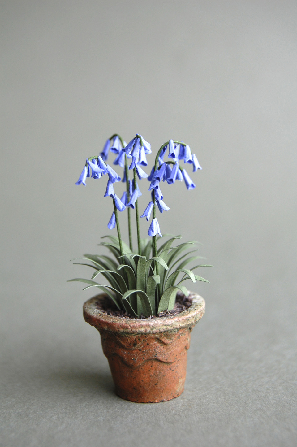 The Miniature Garden: Weeds and Wild Flowers