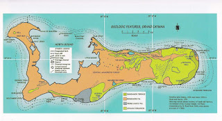 CaymANNature: Cayman Rocks – Caymanite and Phytokarst