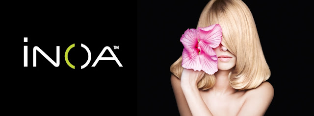 Atelier Emmanuel Hi-lites: iNOA Color's New formula: What has changed ...