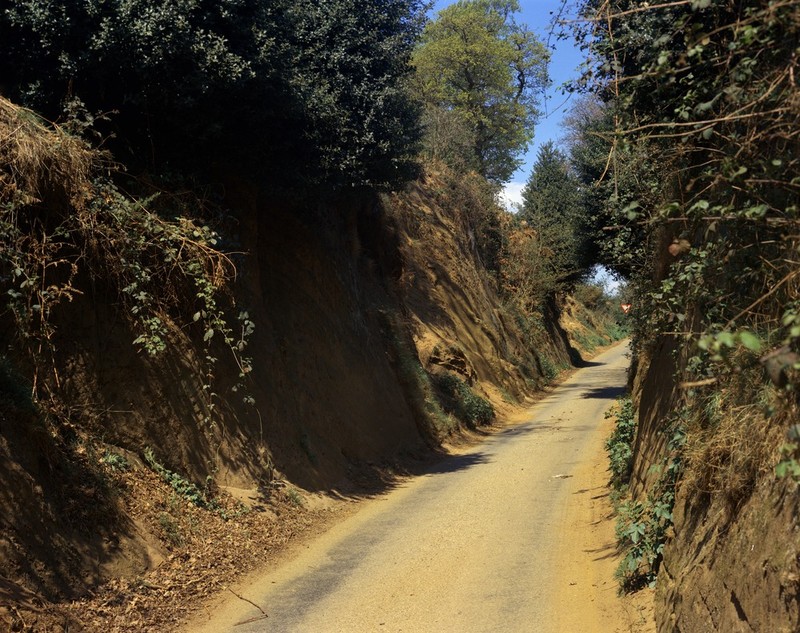 BGS Geoheritage – images from the collections: Sunken lanes in southern ...