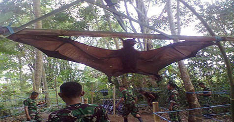 Orang Bati The Flying Creature In Indonesia • TheGep Mysteries