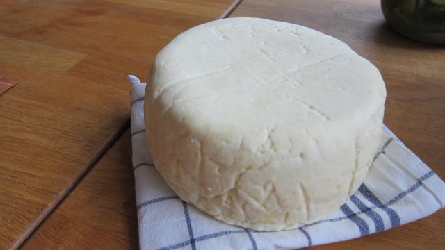 Dalmatian Mom: Ysta ost utan löpe