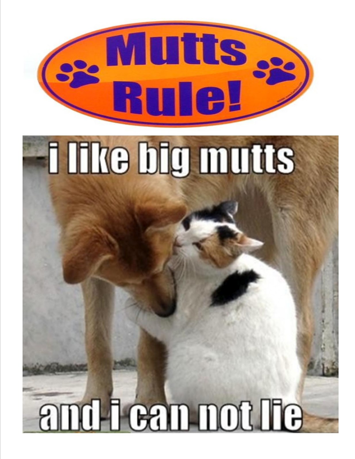 Selling a LifeStyle....: National Mutt's Day July 31st, 2012