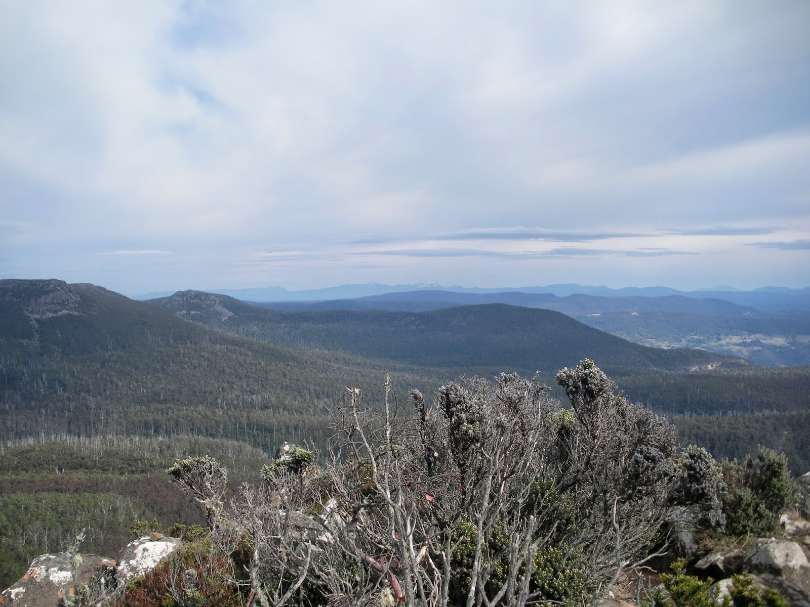 Collins Cap | Hiking South East Tasmania