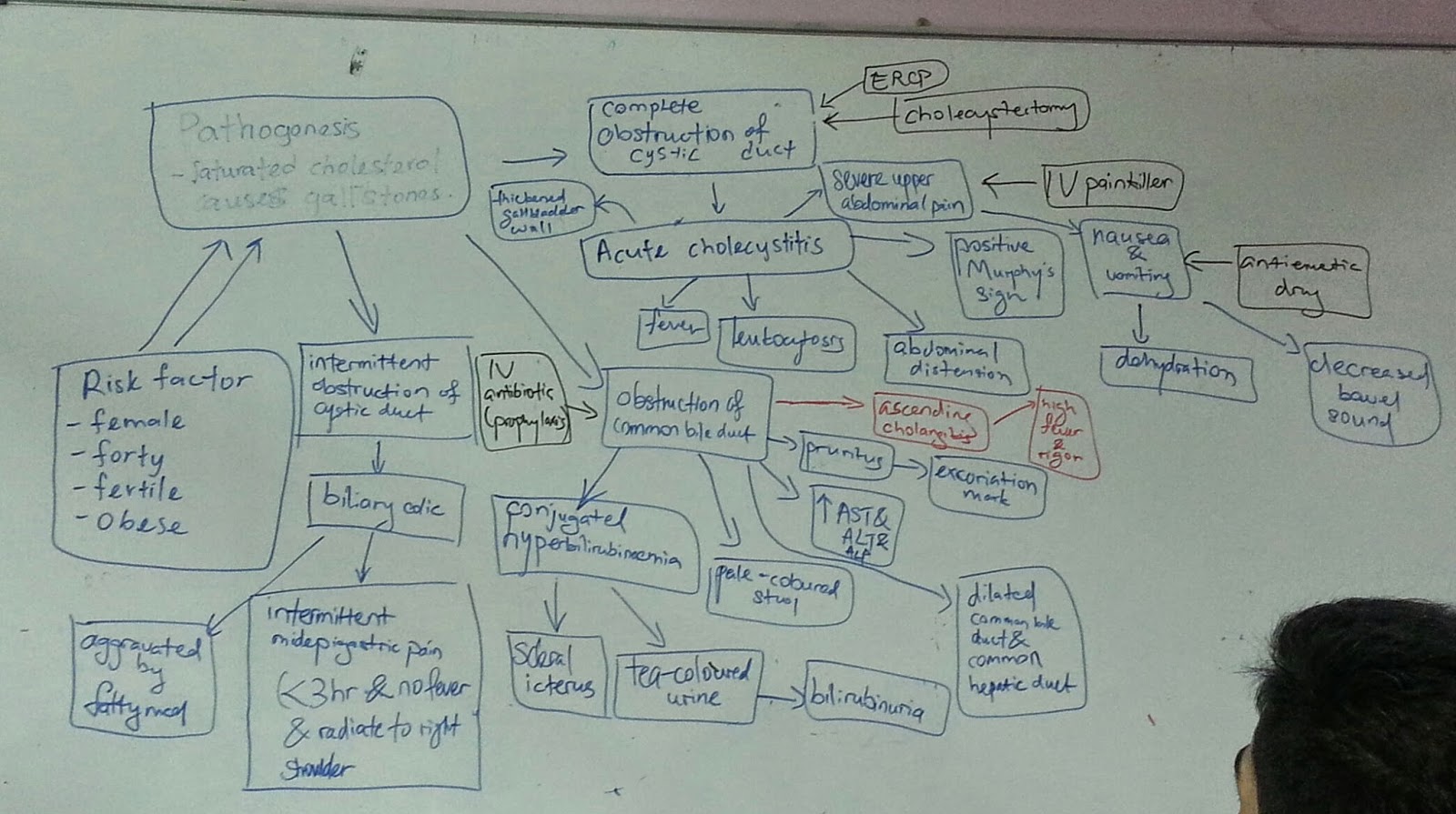 Medical Concept maps : GIT System