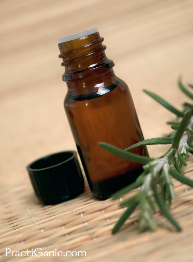 Tea Tree Oil and Why You Can't Live Without It | PractiGanic ...