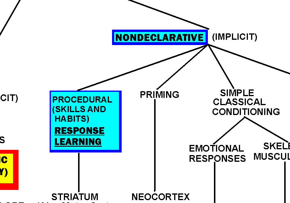 Declarative Memory - Declarative Learning