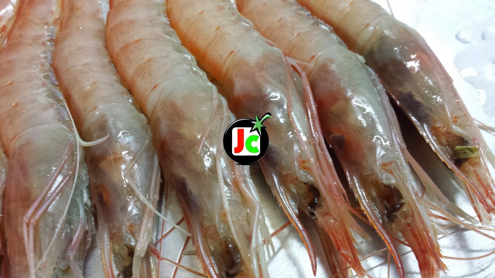 PRODUCTOS | BLOG DE JORGE COOK