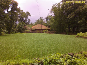 Picnic farmar house near in chiplun- Guhagar- Konkan side