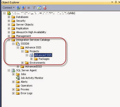 LearnSQL: Implementing SSIS Environment Variables LearnSQL: Implementing SSIS Environment Variables