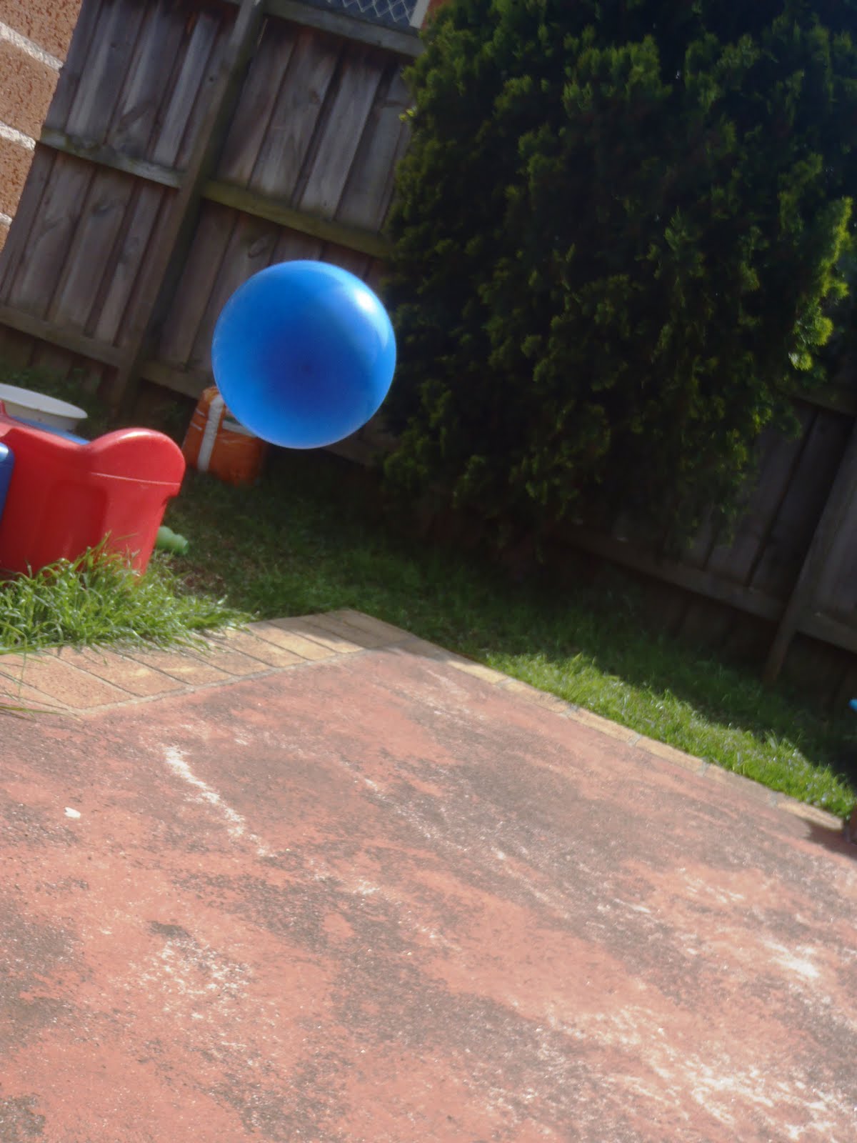 A Little Learning For Two: Things That Fly