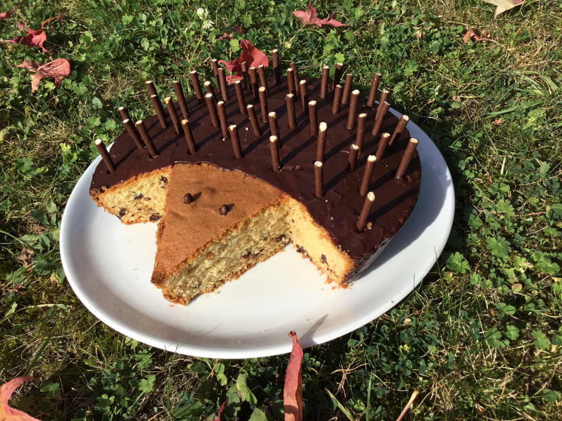 Sale & Zucchero: Gâteau hérisson