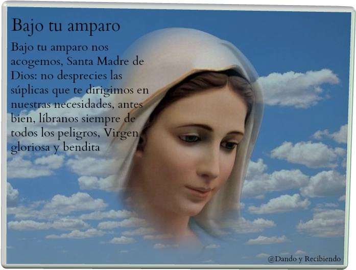 DANDO Y RECIBIENDO: EL ÁNGELUS