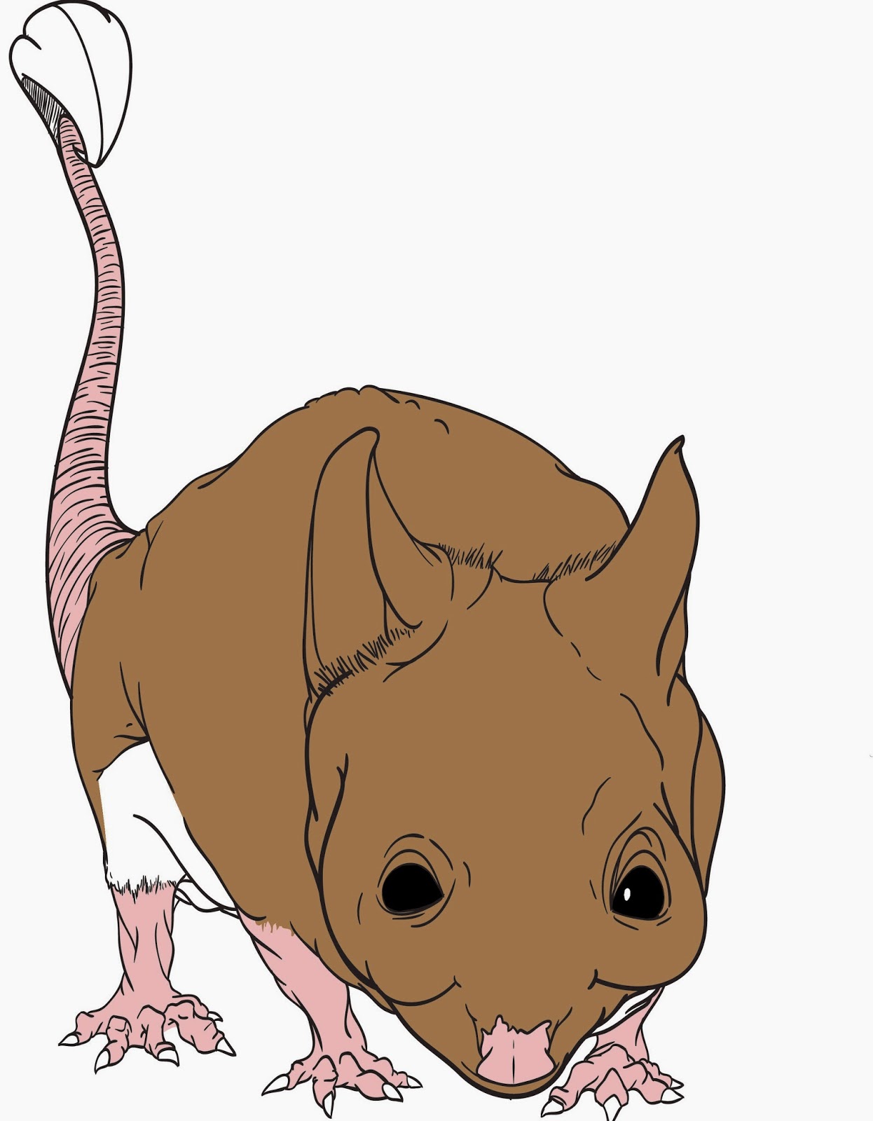 Printmaking and Illustration Blog.: Scorpion Mouse