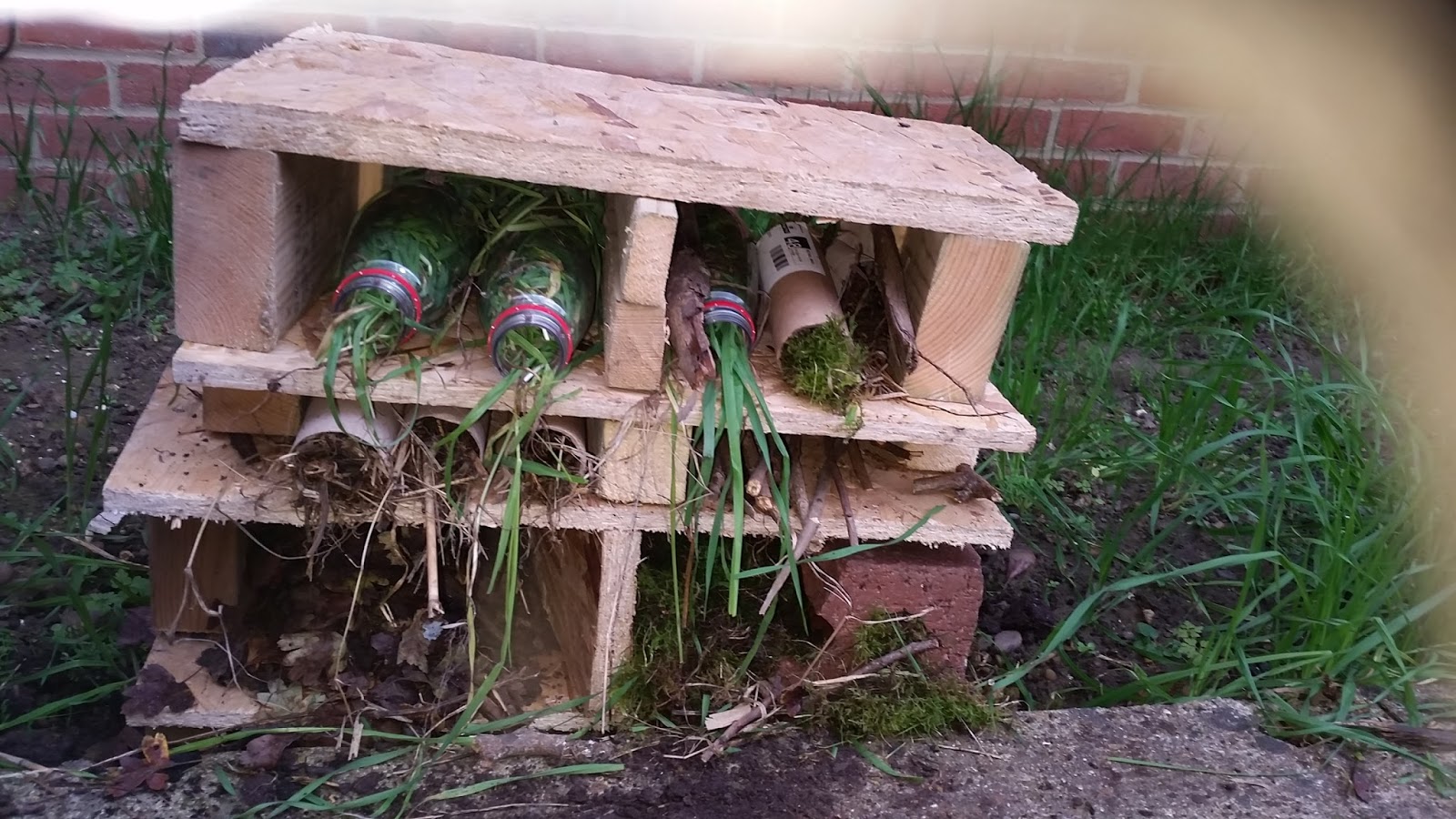 Inside Martyn's Thoughts: Making a Mini Beast House Part 2