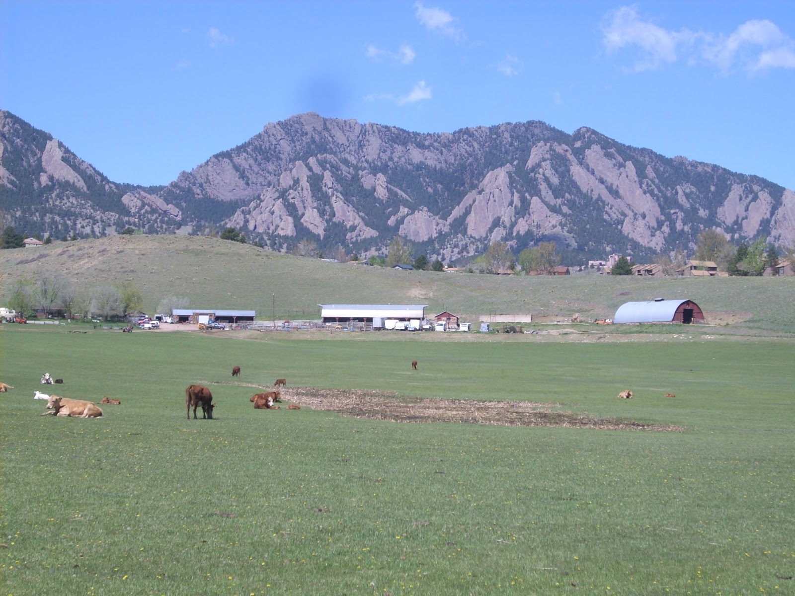 Explore Colorado: Boulder Foothills ~ After Spring Rains