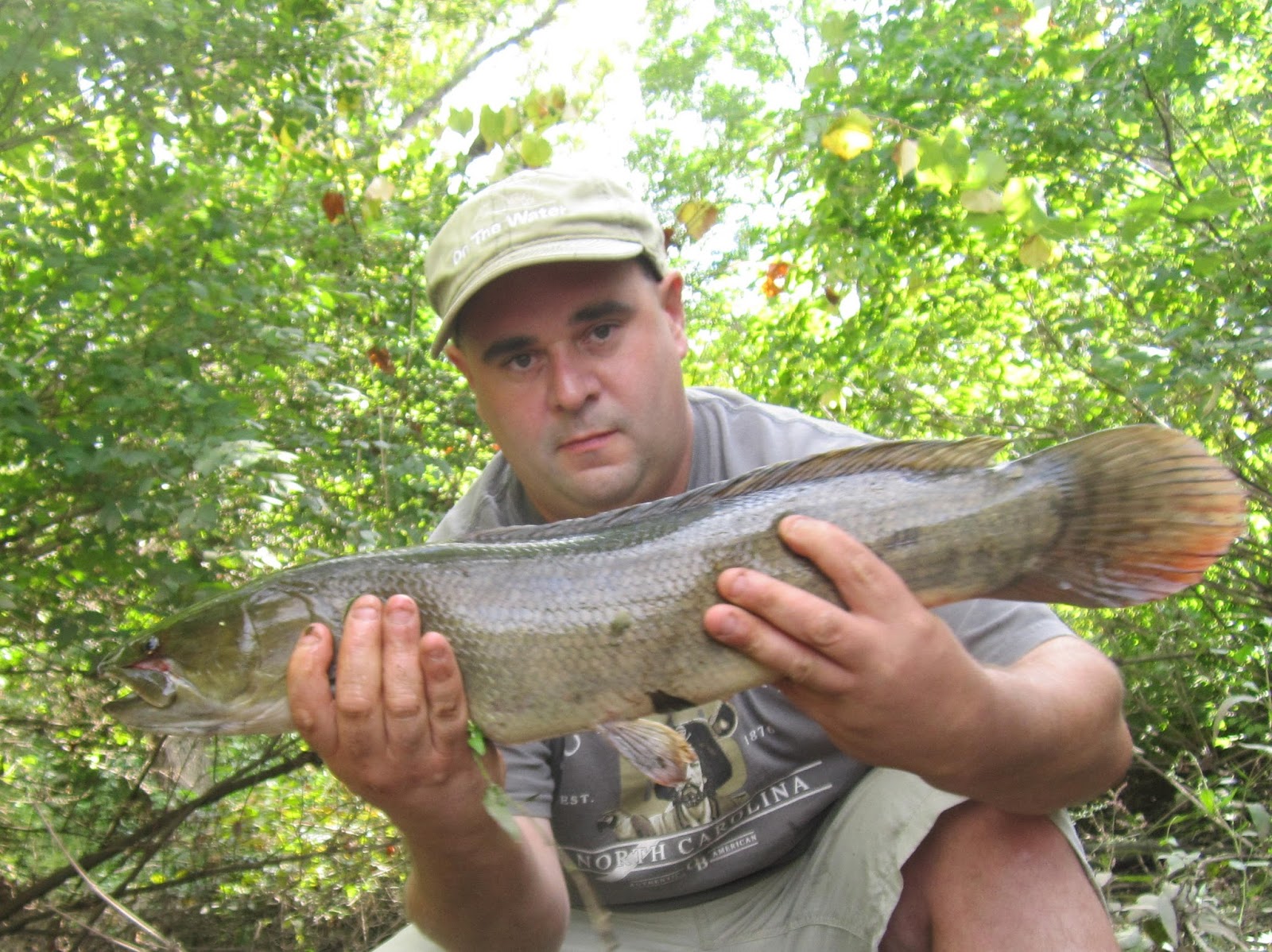 Southern New England Outdoor and Nature Site: BOWFIN!!!