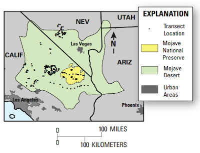 Mojave Desert Ecosystem: A Perspective
