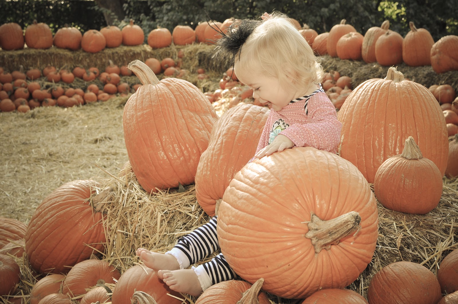 Yours and Mine: Pumpkins Galore, Cutest pumpkin in the patch!!