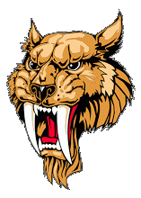 Sabercat Poms - Castle View High School