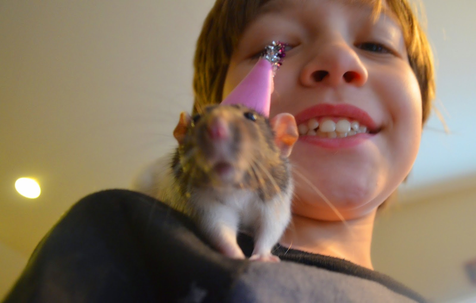 Crafty Mom of 3: It's A Rat Birthday Party!!!!