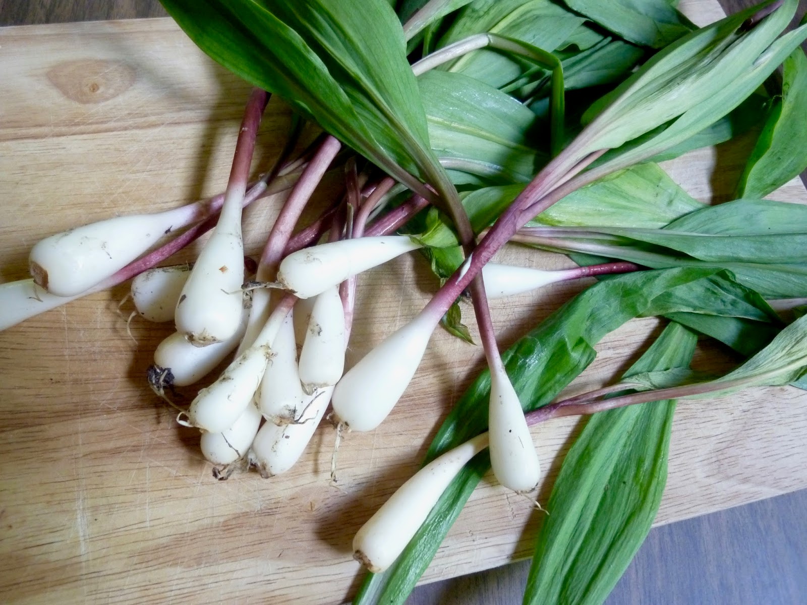 Ramp Sunflower Seed Potato Salad – Diary of a Mad Hausfrau