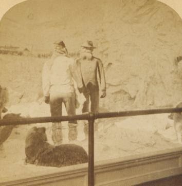 AnceStory Archives: Lieutenant Adolphus Washington Greely Newburyport ...