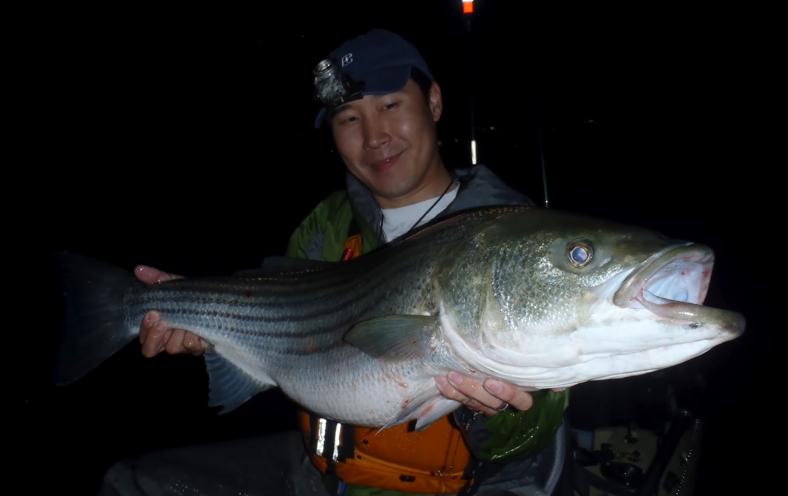 Spring RVA Stripers - Payne Outdoors