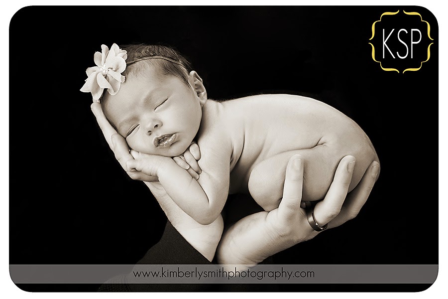 Kimberly Smith Photography