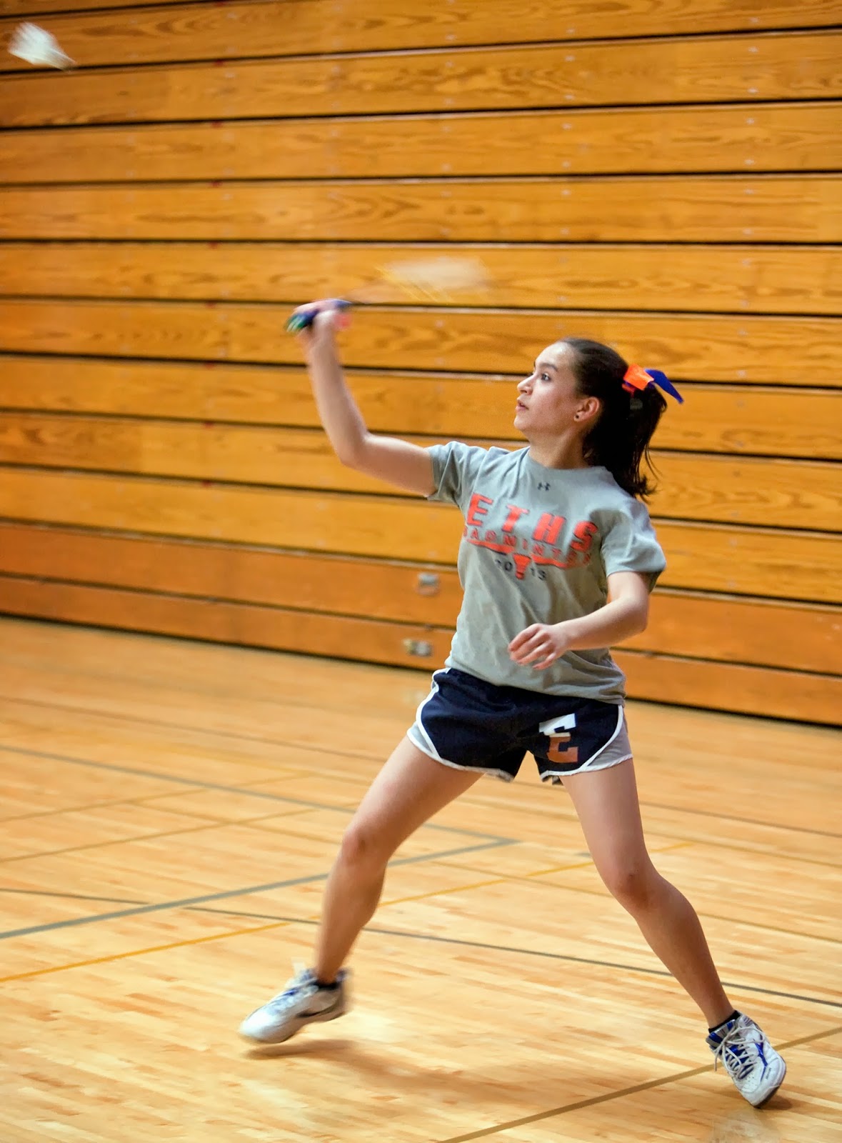 Mark Kodiak Ukena: IHSA Varsity Girls Badminton Meet at Deerfield High ...