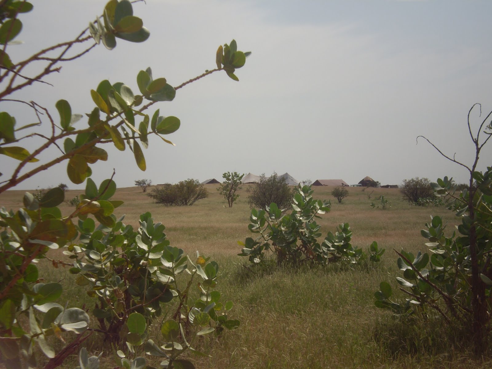 Monguel مونكل: مناظر طبيعية من مقاطعة مونكل