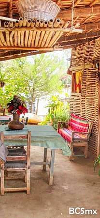 TECHO DE PALMA CASA ALTA