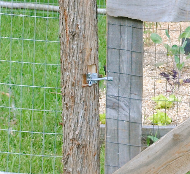 The Little Dog Blog: Building a Garden Fence, Part 2