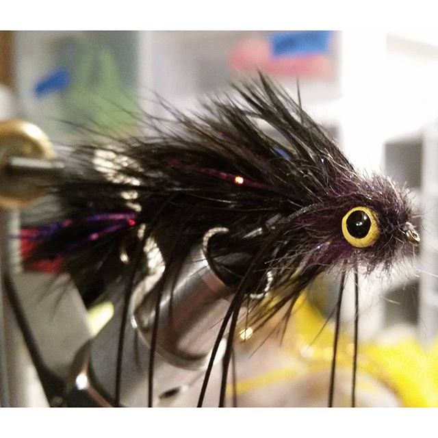 Fishing Northern Colorado: Streamers and Midges