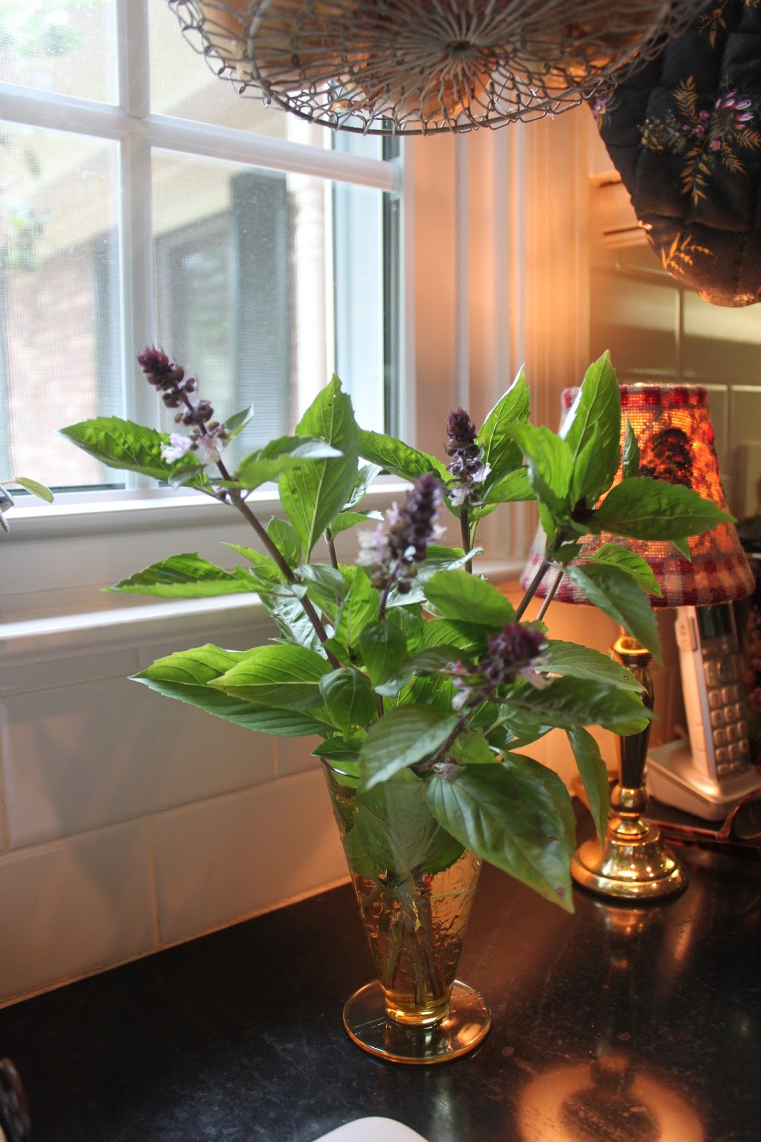 A Southerner's Notebook: Summer Harvest Pasta