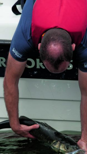 How to Quickly Unhook a Sea Fish ~ Fishingmegastore Blog