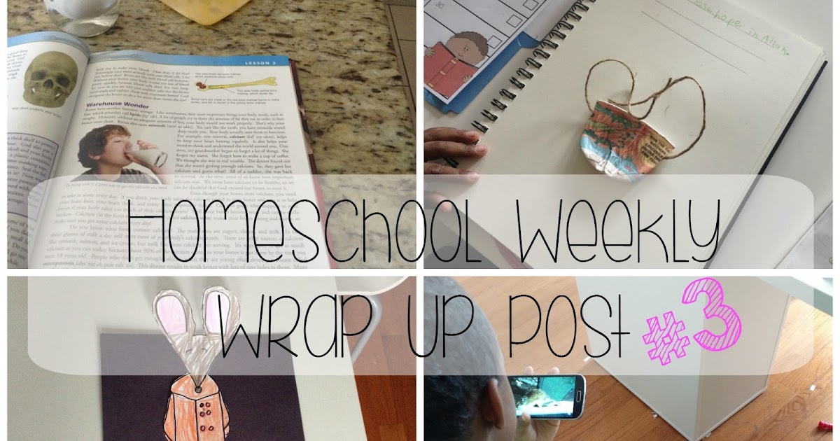 TeacherMomPlus3: Homeschool Weekly Wrap Up