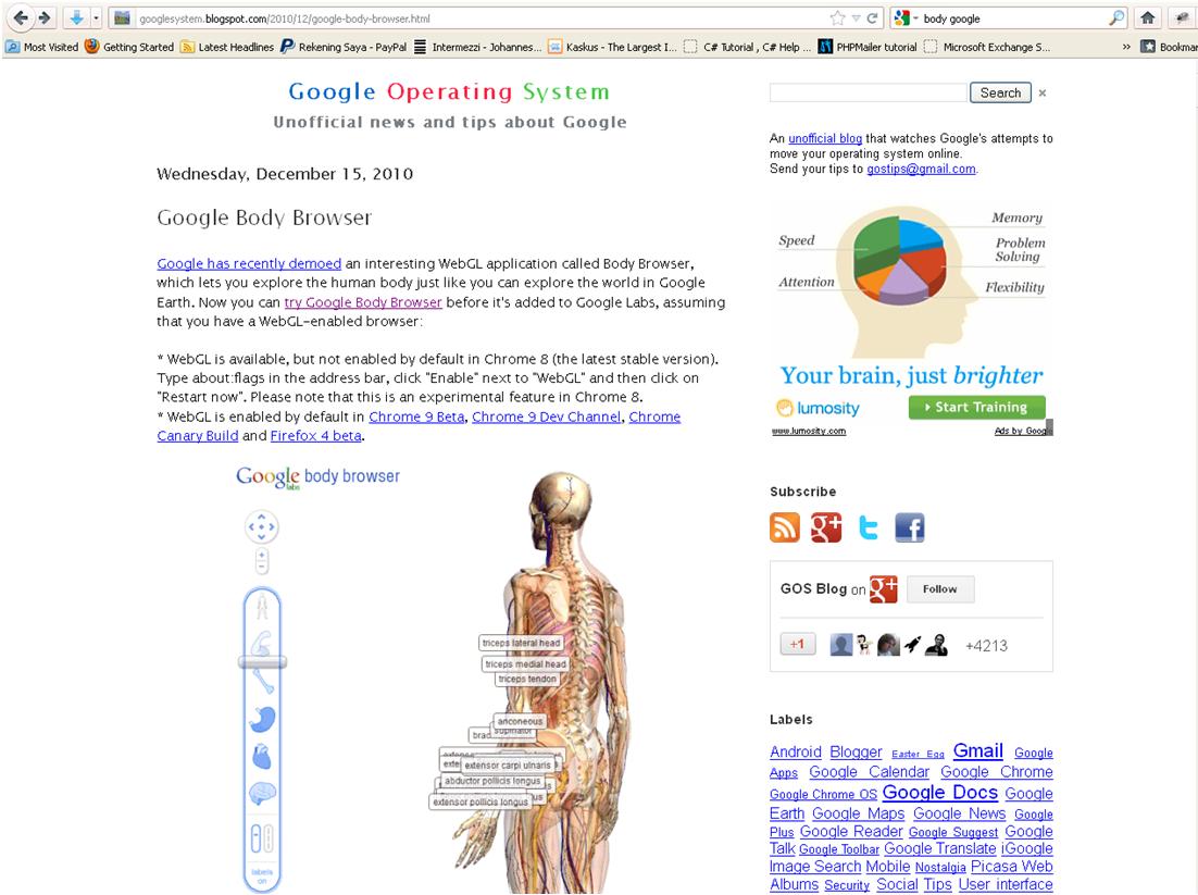 Zygote Body / Google Body Browser - Projo Kusumo (Kembang Jelata)