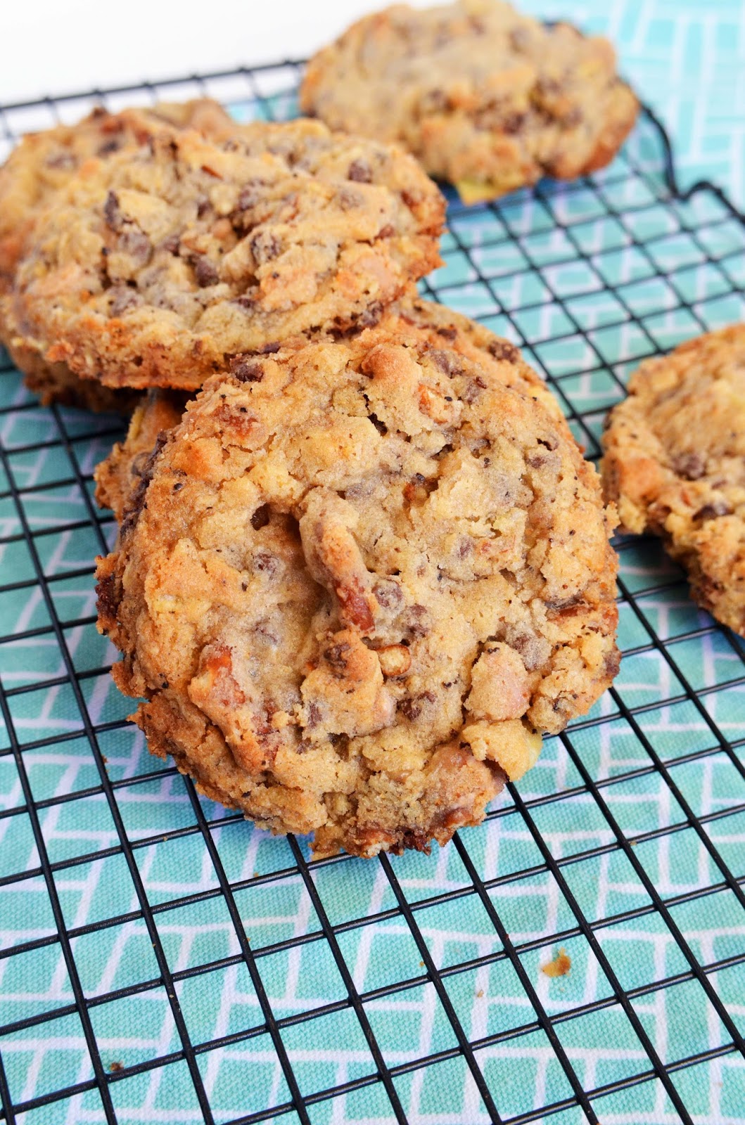 Our Beautiful Mess: Compost Cookies