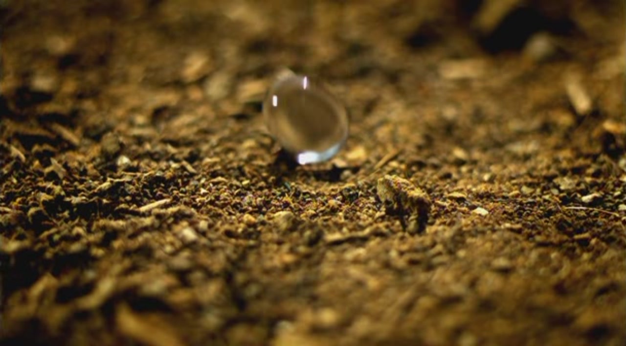 zone d'ombra: Umida terra