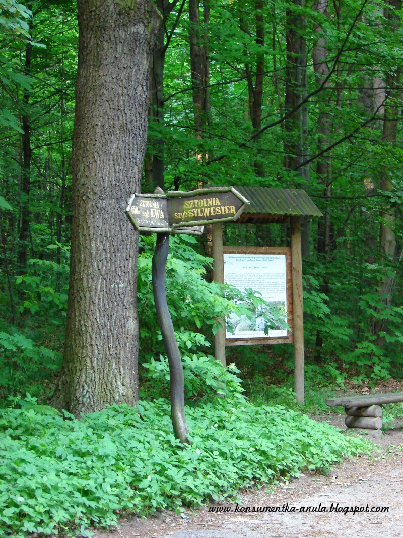 Anula bloguje... testy, opinie, medycyna, kulinaria i inne kreatywności ...