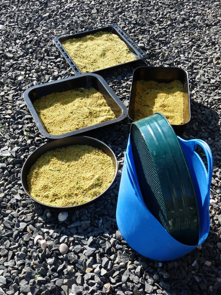 Living the Reasonably Good Life: The Quinoa Experiment