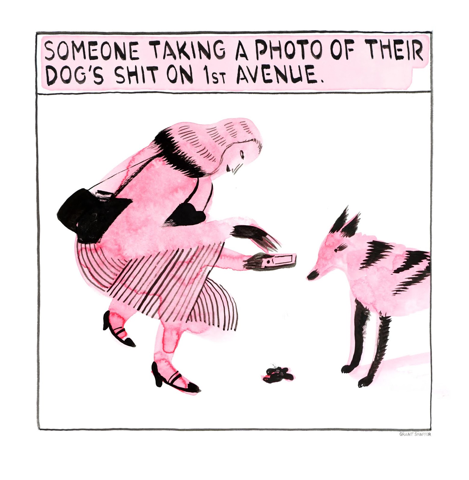 EV Grieve: Grant Shaffer's NY See