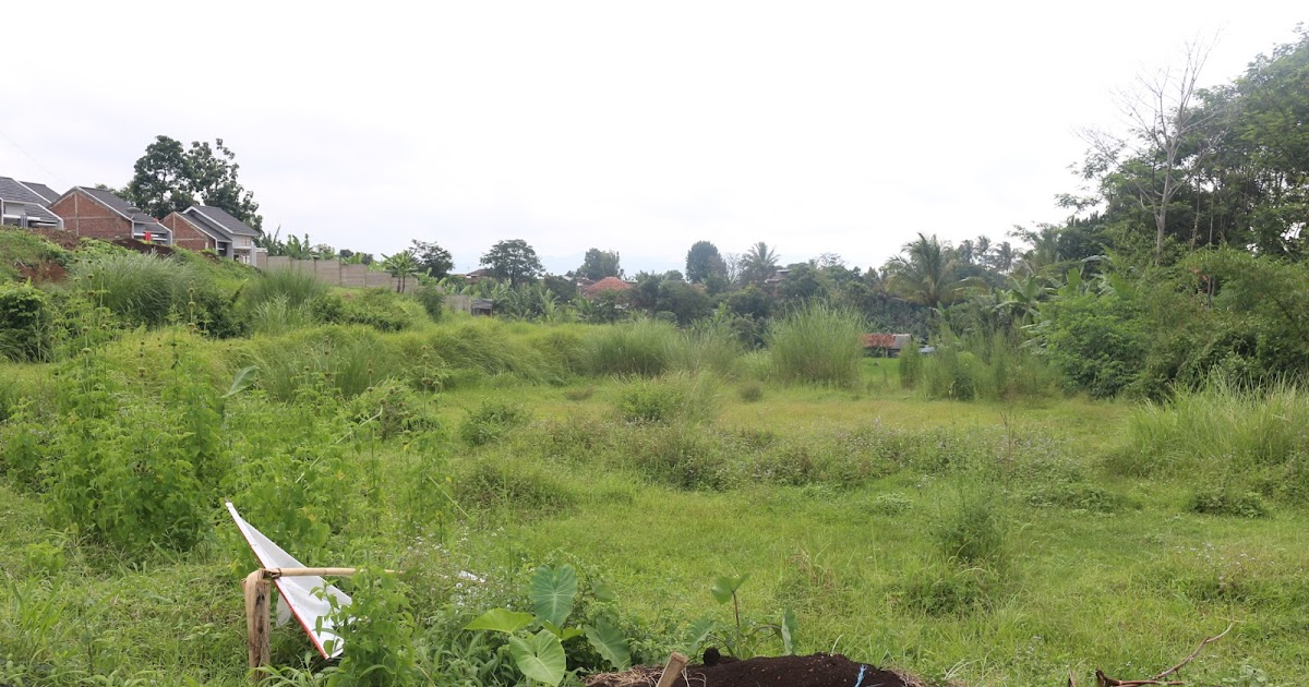 Hq Property (developer) : Pengertian Warkah Tanah dan Fungsinya