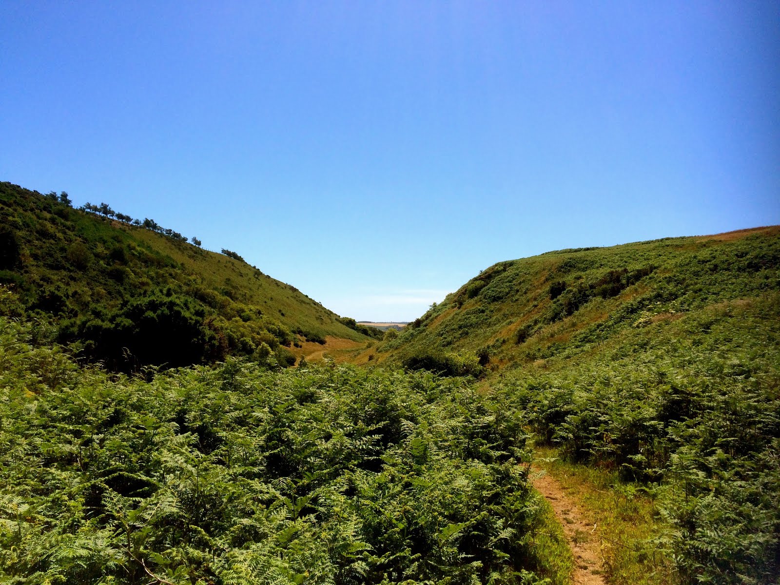 Days out in the Borders : Wooler Common And Earle Circular Walk