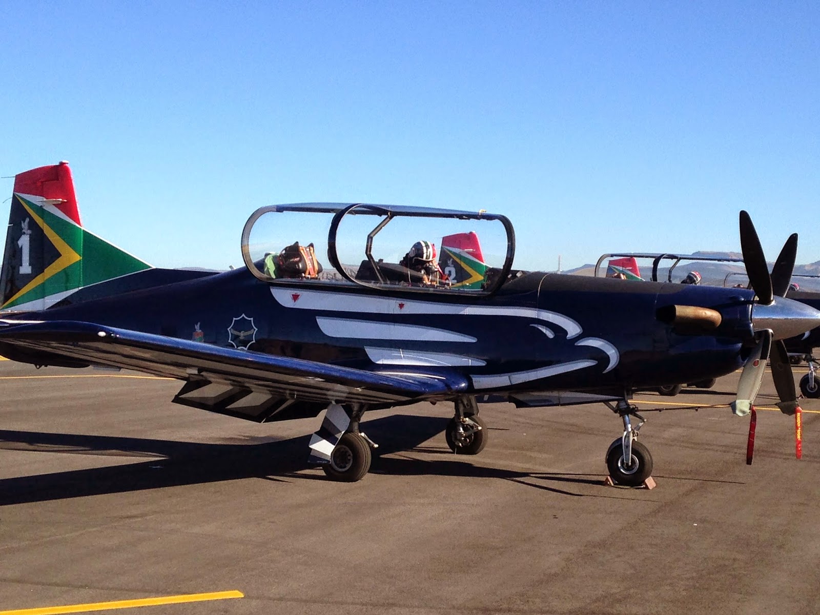 do eagles dare?: Fun day in Pietermaritzburg